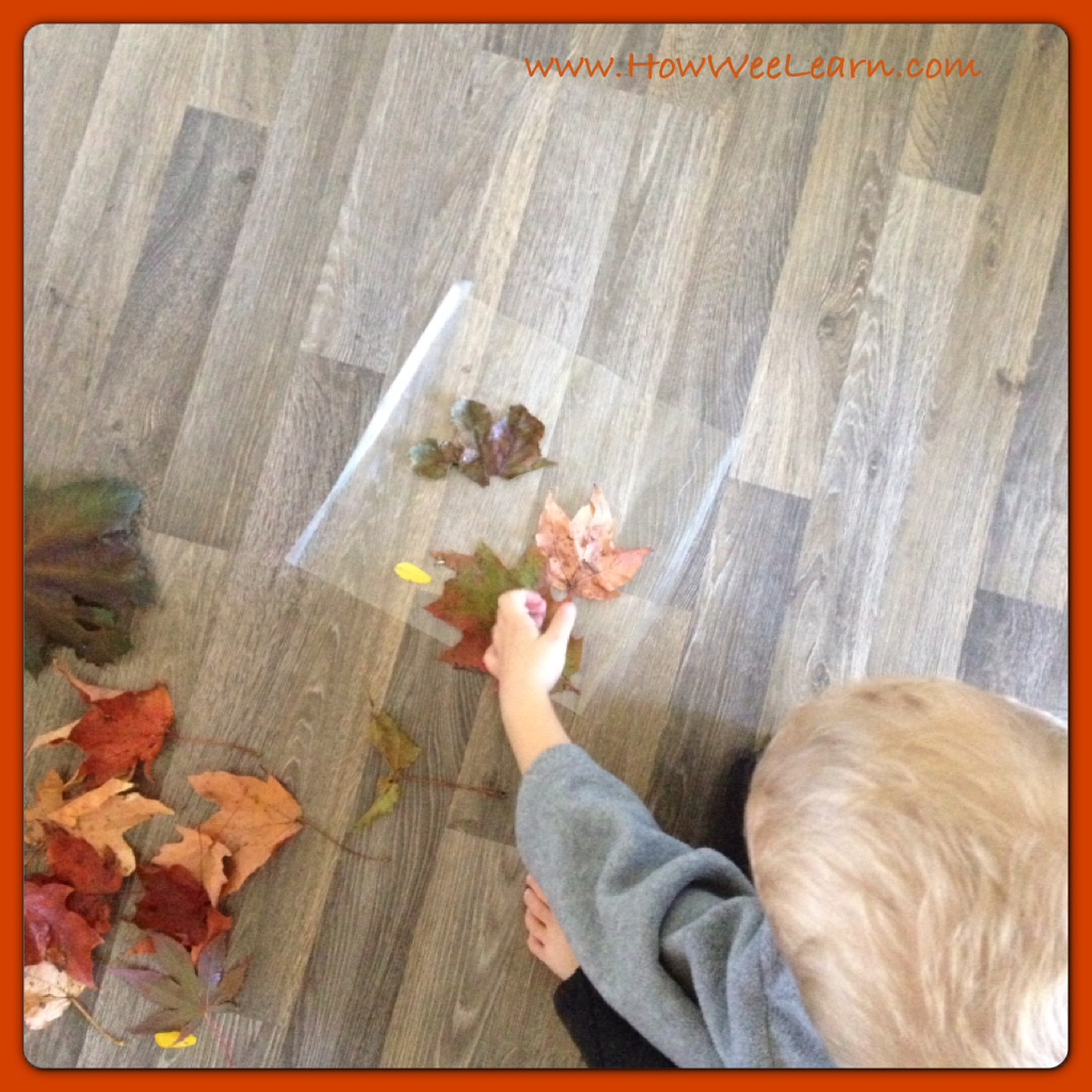 Fall Crafts: Fall Leaf Letters - How Wee Learn