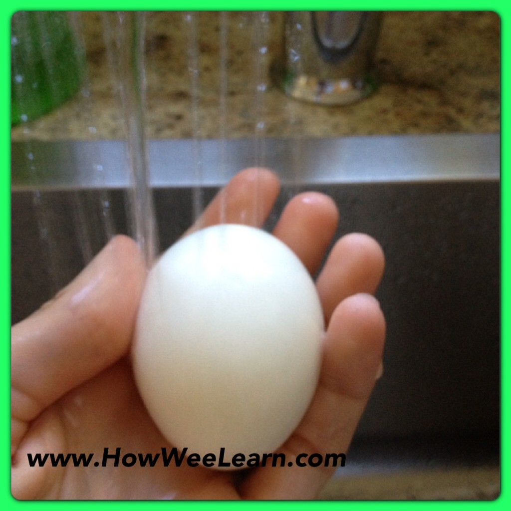 The Rubber Egg! - How Wee Learn