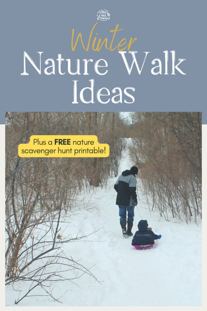 Winter Nature Walk Ideas - How Wee Learn