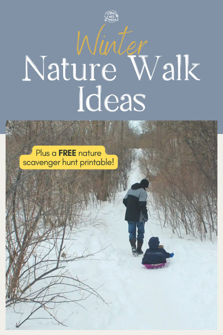 Winter Nature Walk Ideas - How Wee Learn