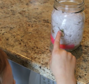 Seed Germination Experiment – The Results! - How Wee Learn