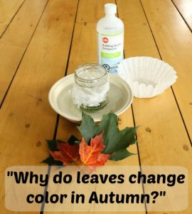 Gorgeous Fall Leaves Crafts - How Wee Learn