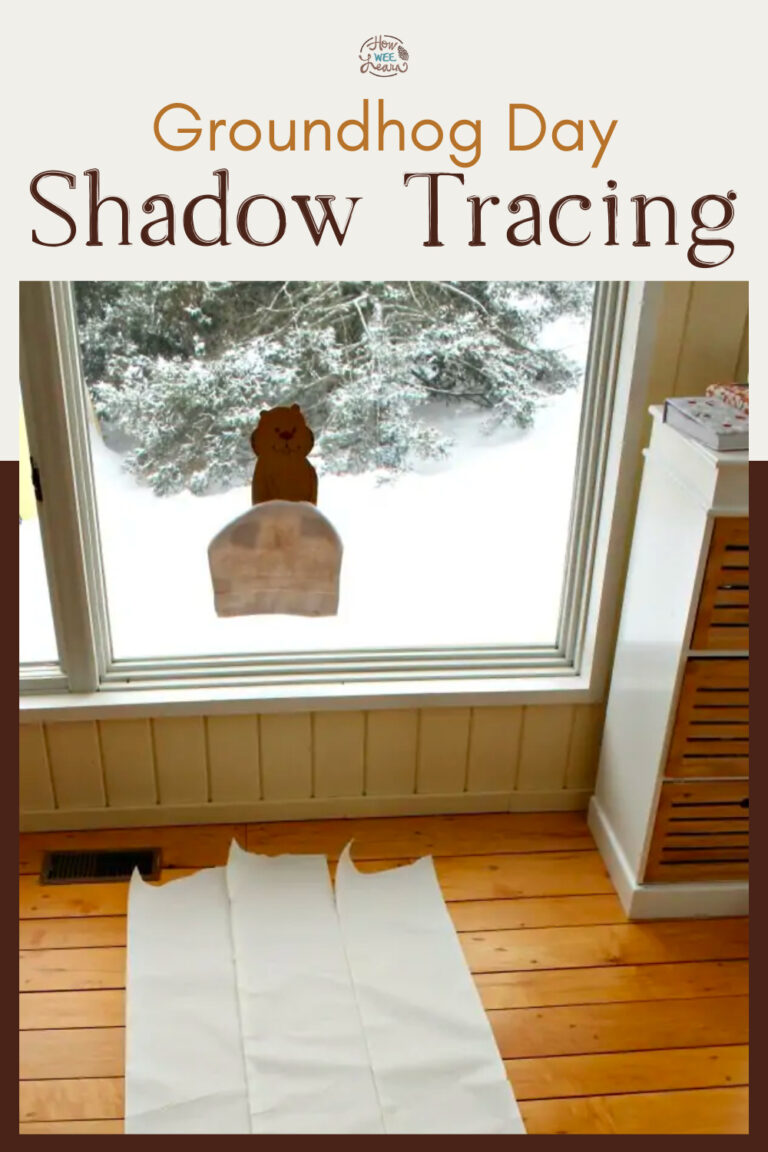 Groundhog Day Shadow Tracing - How Wee Learn