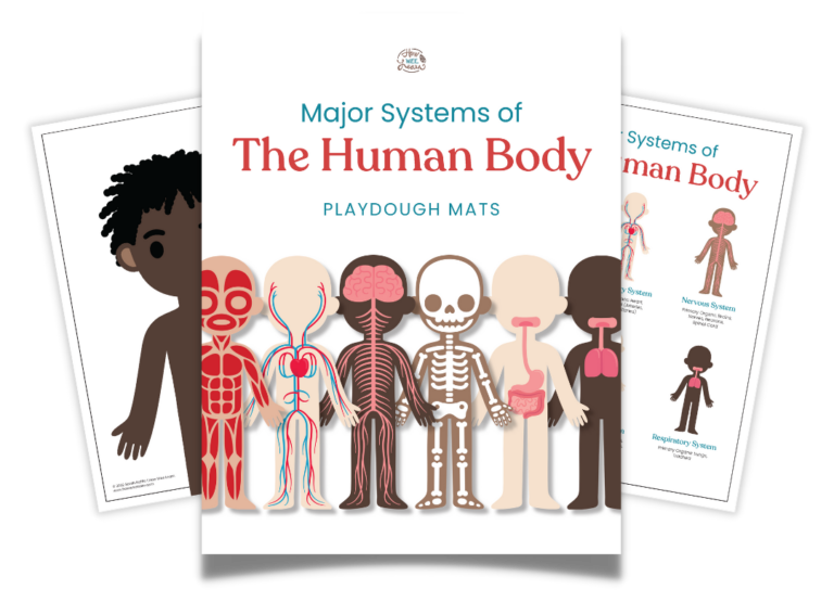 Printable Human Body Systems Playdough Mats! - How Wee Learn