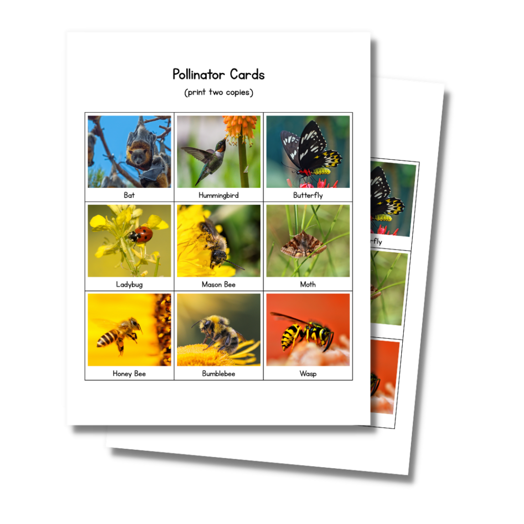 Incredible Science Unit Study: Powerful Pollinators! For K-Grade 6 ...