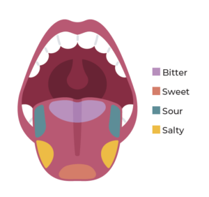 The Perfect Human Body Unit Study! - How Wee Learn