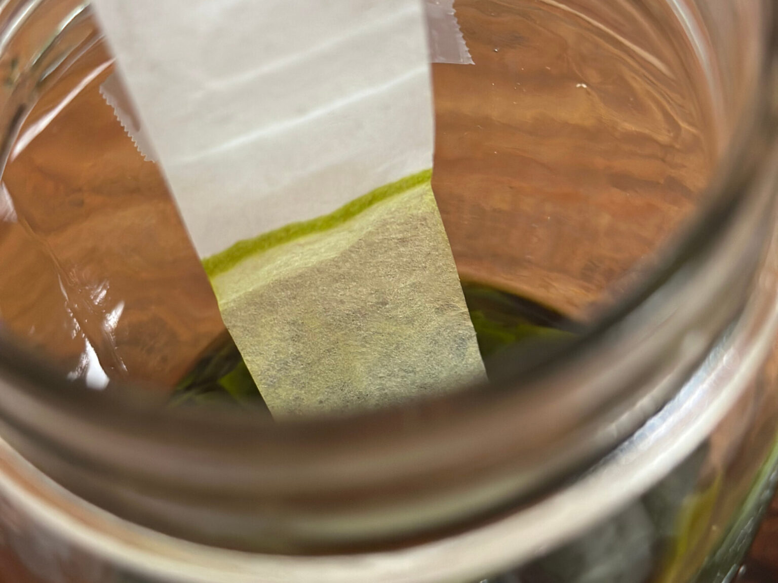 Plant Science Experiments - How Wee Learn