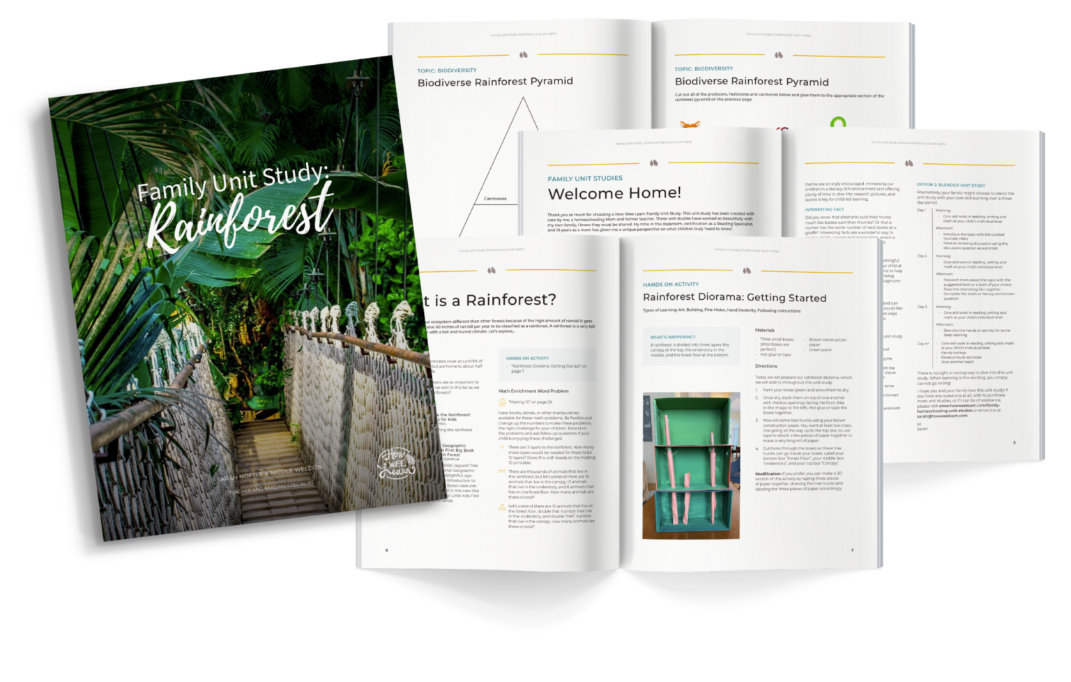 Children’s Books About the Rainforest - How Wee Learn