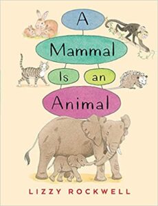 Magnificent Mammals: Books About Mammals for Kids - How Wee Learn