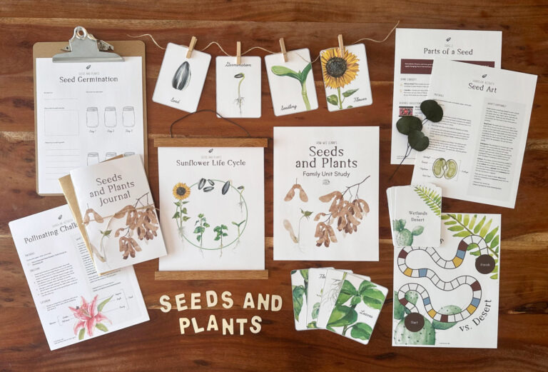 Seeds and Plants Unit Study! - How Wee Learn