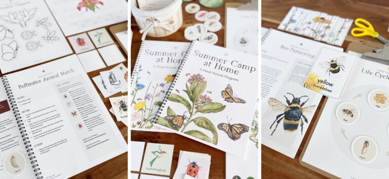 10 Books About Pollinators for Kids - How Wee Learn