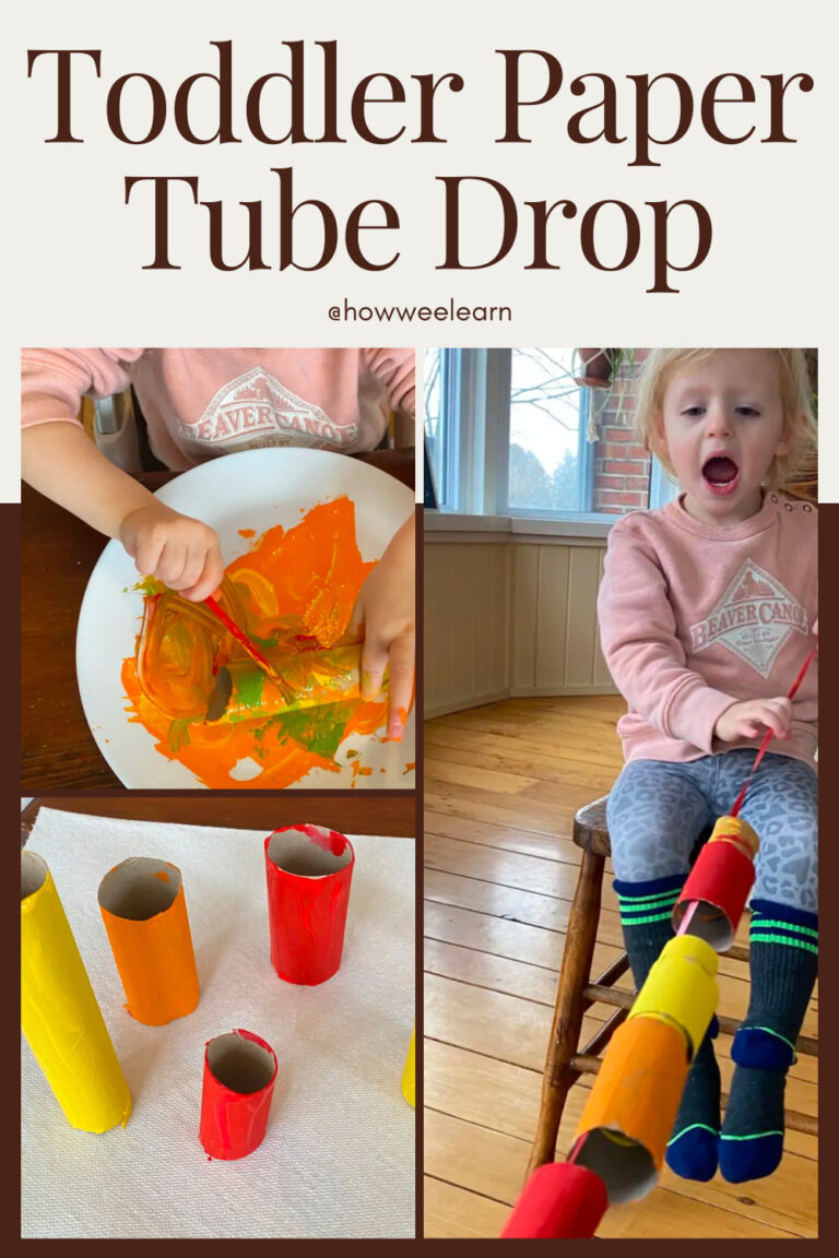 Toddler Activity | Paper Towel Roll Drop! - How Wee Learn