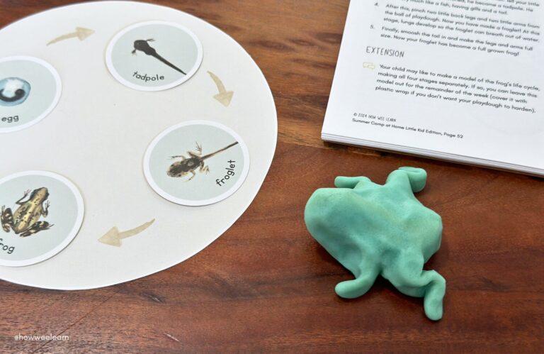 Frog Life Cycle Activity & Story for Kids - How Wee Learn