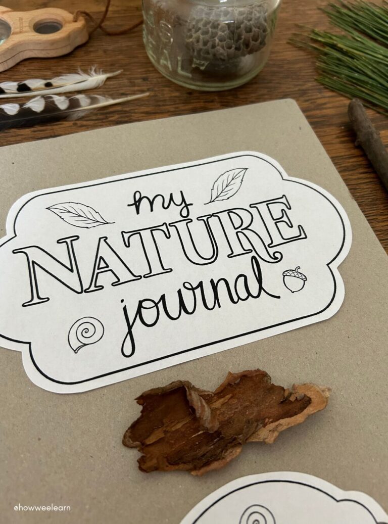 How to Make a Field Journal for Earth Day and Every Day! - How Wee Learn
