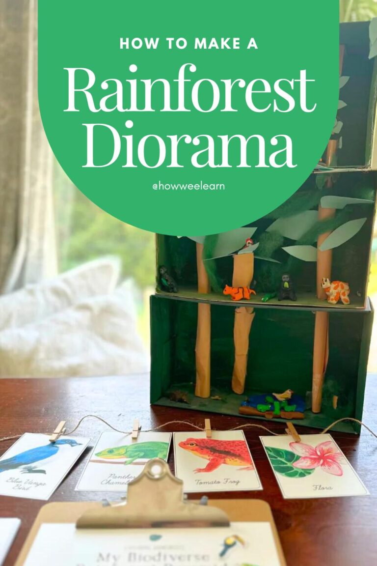 How to Make a Rainforest Diorama Filled with Learning! - How Wee Learn