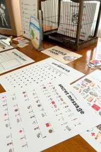 The Magic of Intentional Play: My Vet Clinic Pretend Play! - How Wee Learn