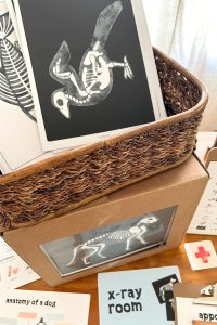 The Magic of Intentional Play: My Vet Clinic Pretend Play! - How Wee Learn