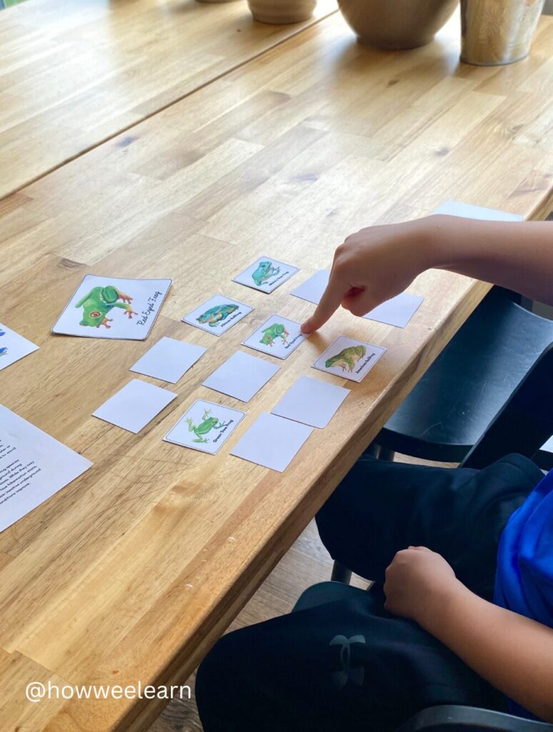Summer Camp at Home Ideas: Frog Guess Who! - How Wee Learn