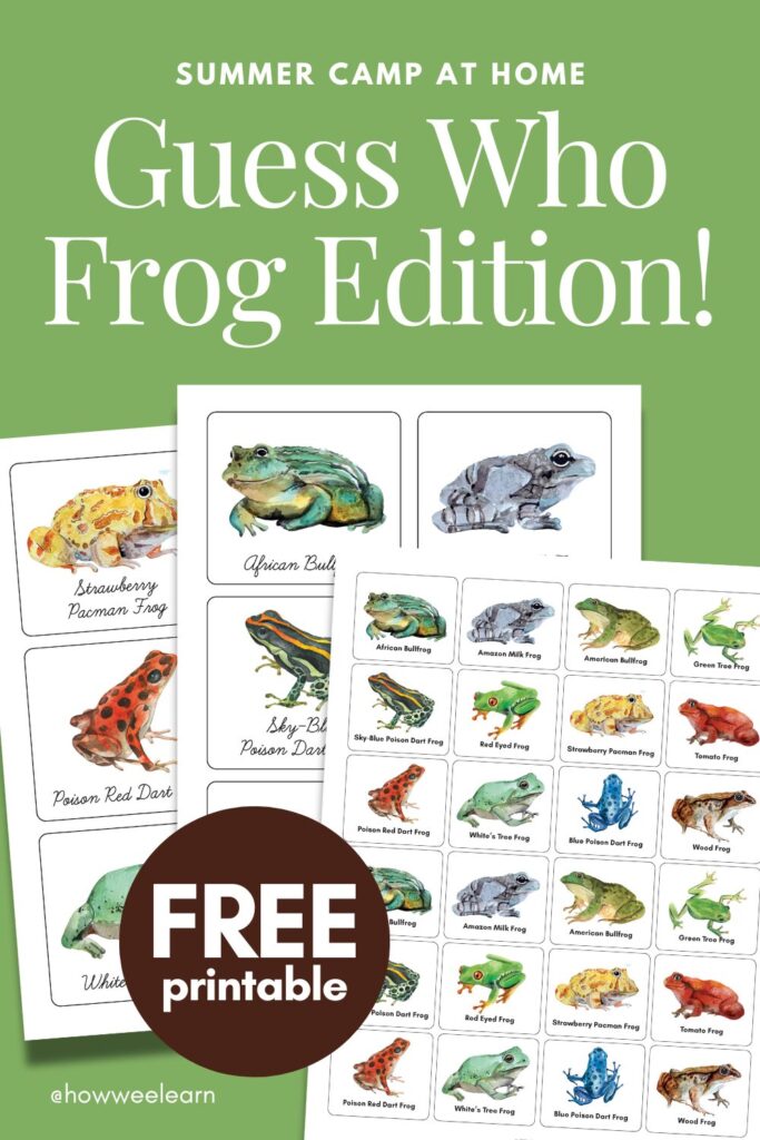 Summer Camp at Home Ideas: Frog Guess Who! - How Wee Learn