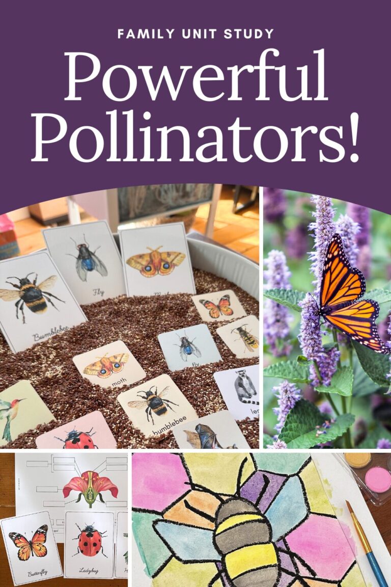 Powerful Pollinators Unit Study! - How Wee Learn
