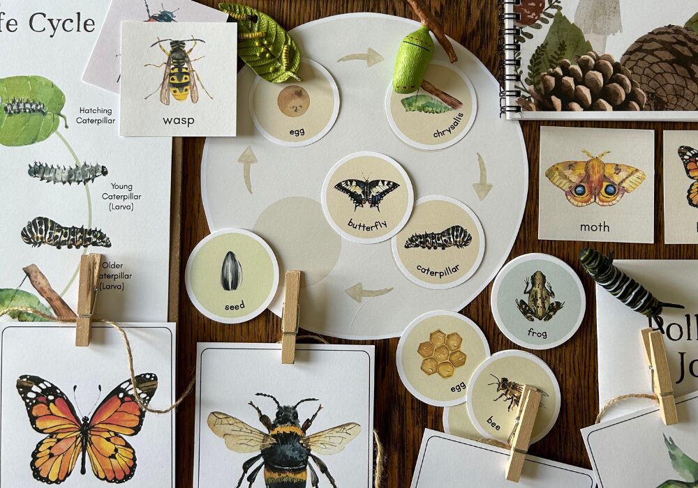 Spring Equinox Crafts and Activities for Kids - How Wee Learn