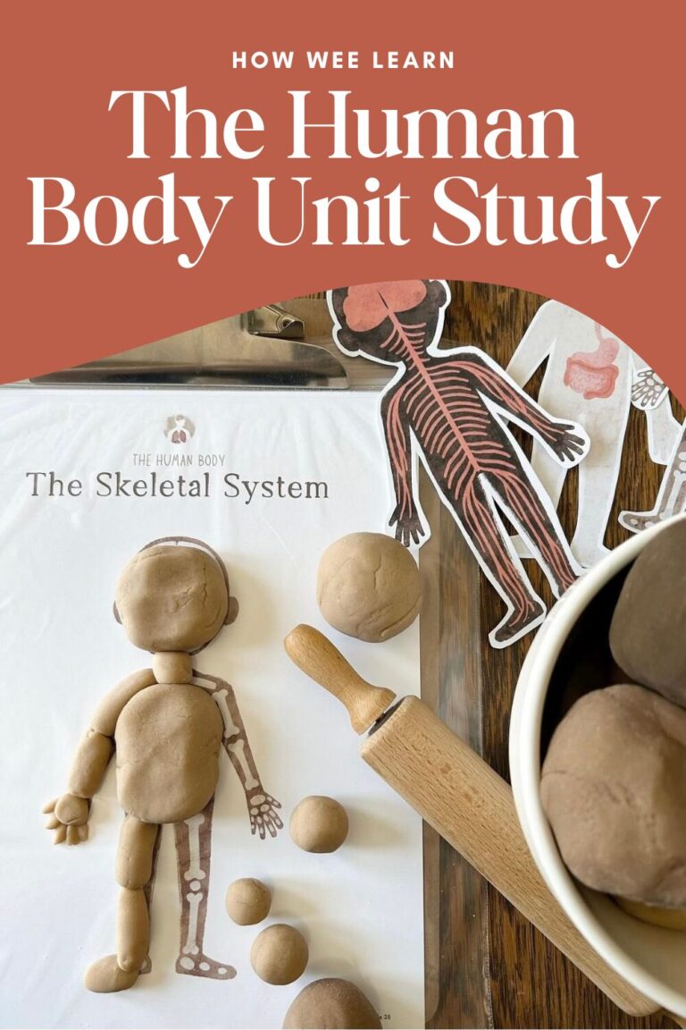 The Perfect Human Body Unit Study! - How Wee Learn