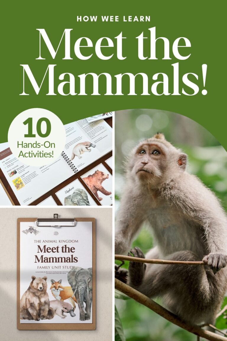 Meet the Mammals Family Unit Study - How Wee Learn
