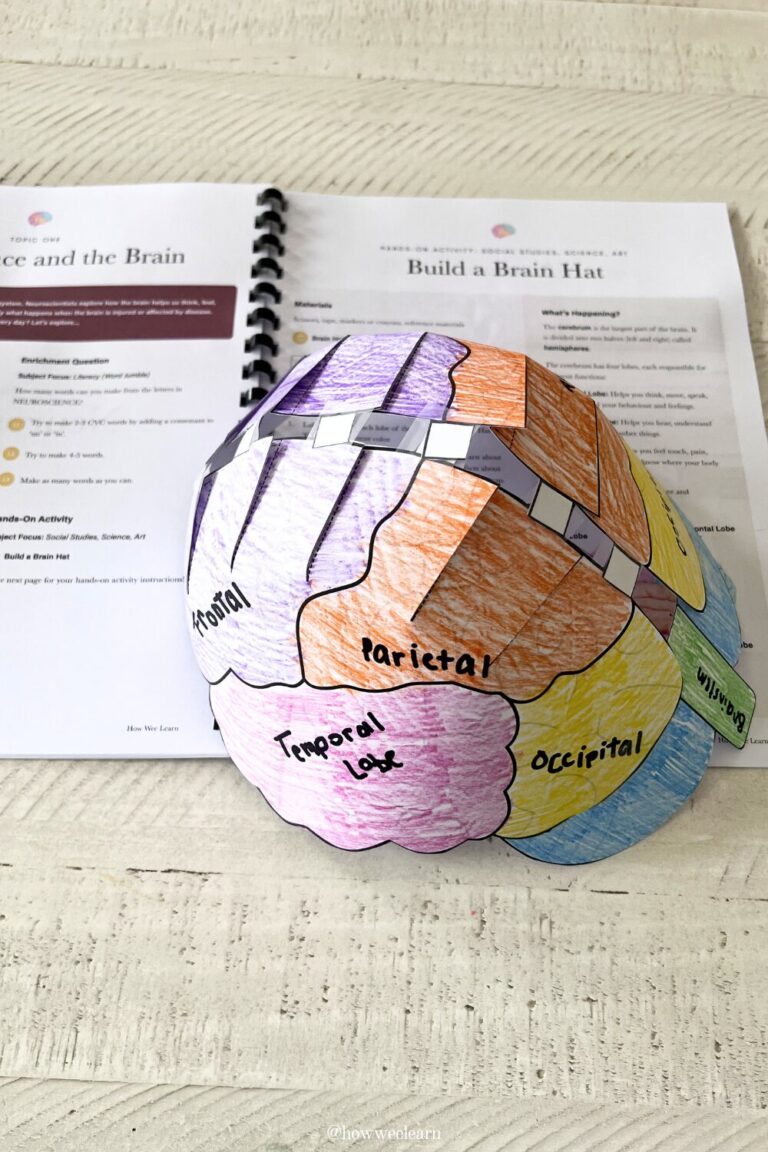 Brain Activities for Kids: Neuroscience Family Unit Study - How Wee Learn
