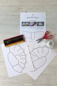 Brain Hat Activity for Kids | Hands-On Neuroscience Made Fun! - How Wee ...