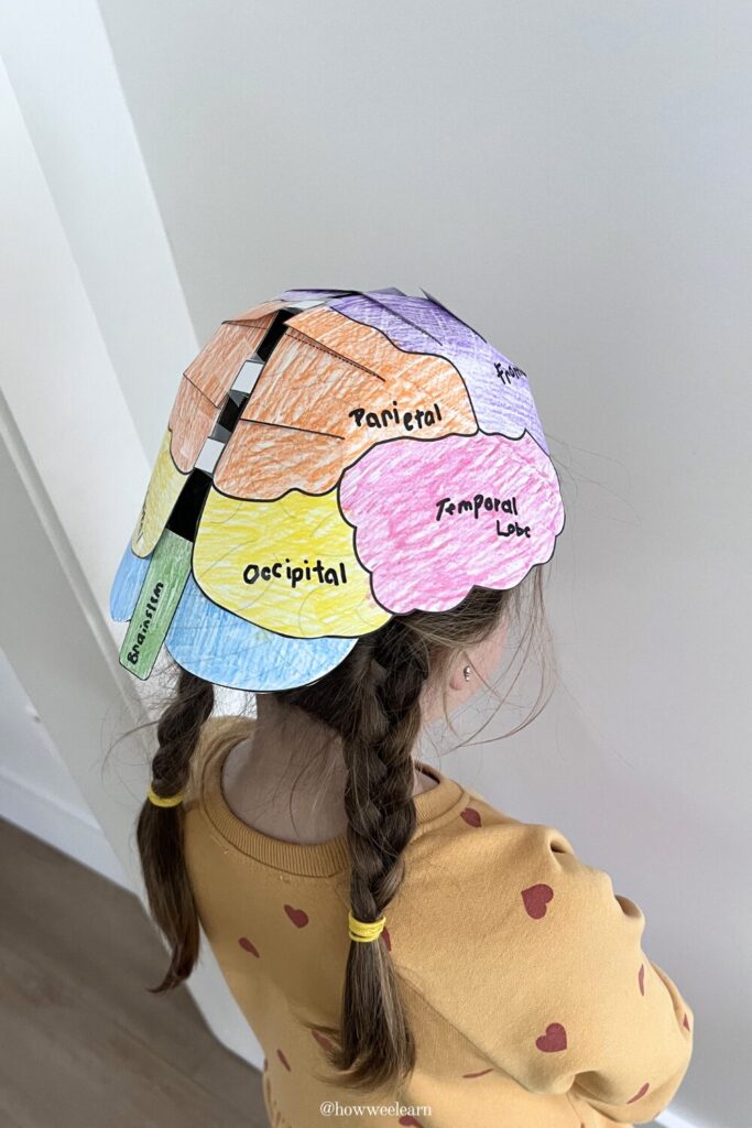 Brain Hat Activity for Kids | Hands-On Neuroscience Made Fun! - How Wee ...
