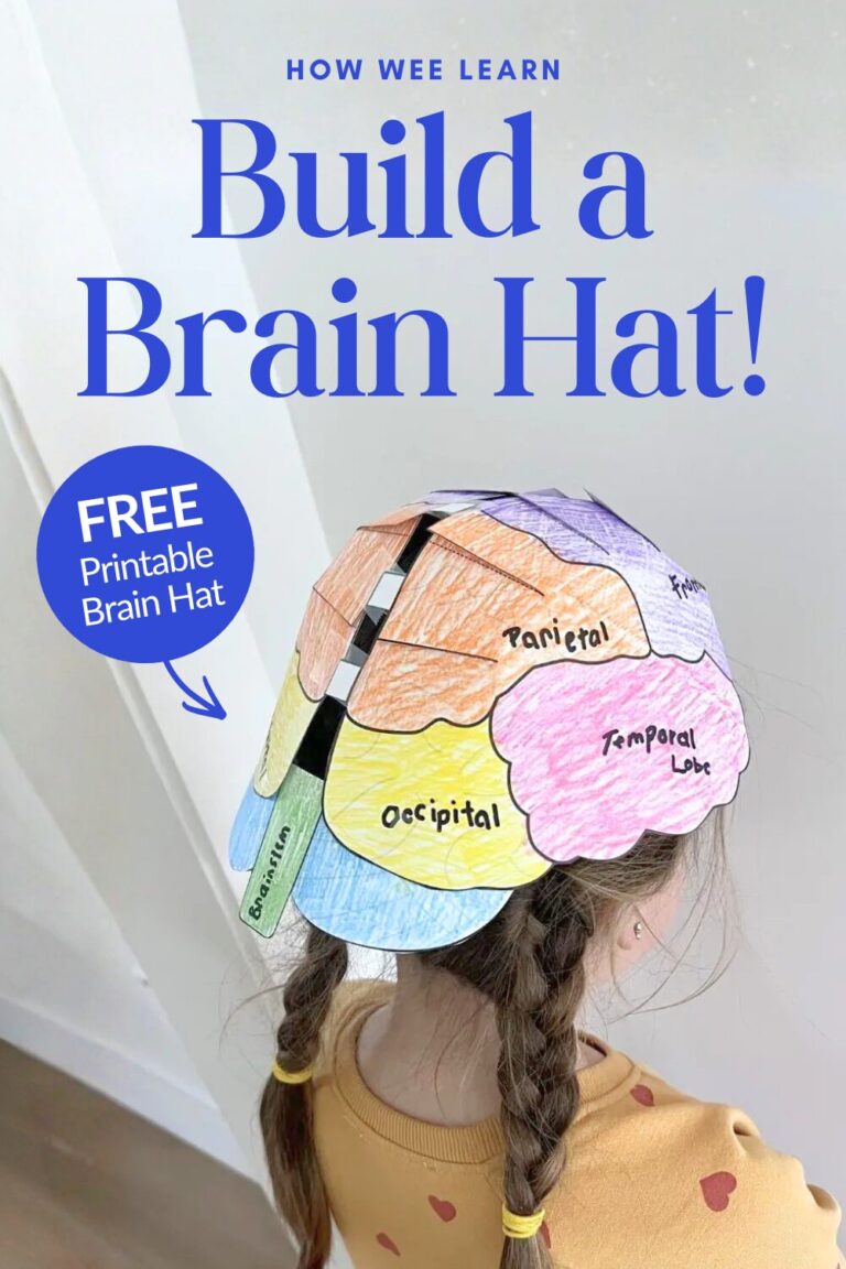 Brain Hat Activity for Kids | Hands-On Neuroscience Made Fun! - How Wee ...