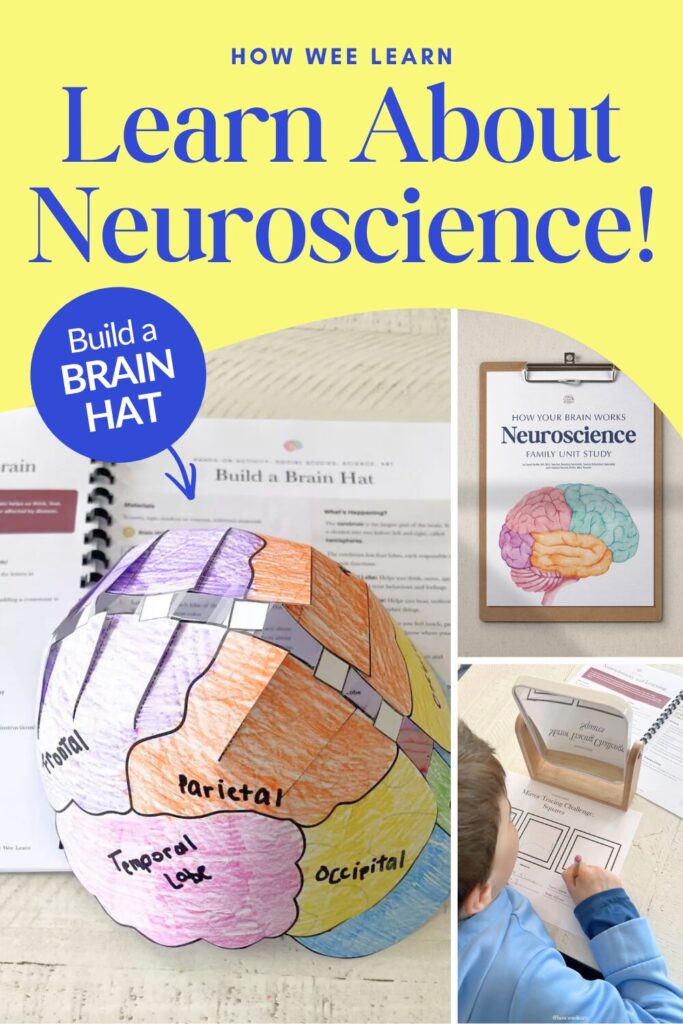 Brain Activities for Kids: Neuroscience Family Unit Study - How Wee Learn
