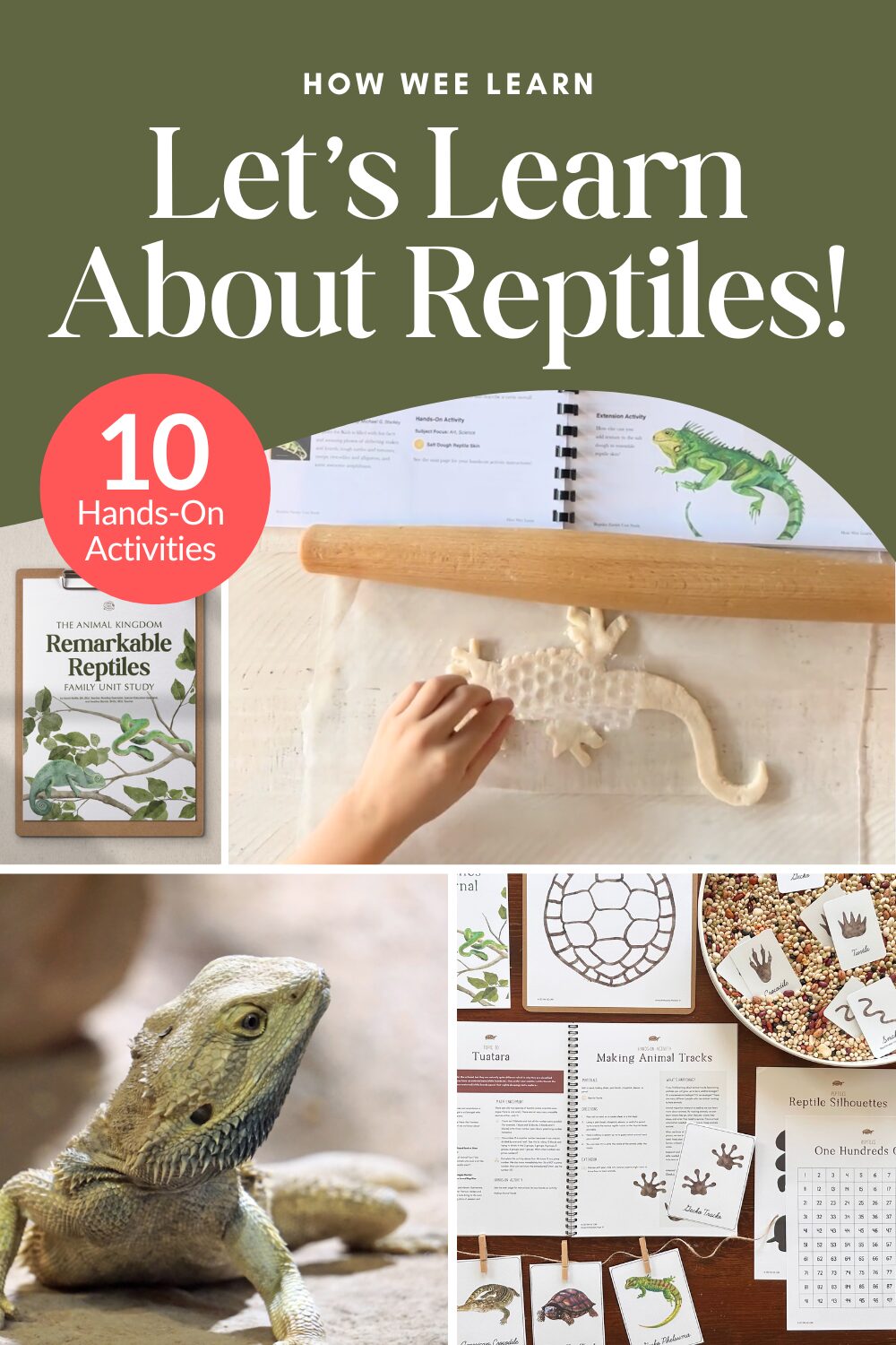 Remarkable Reptiles Unit Study for Kids: Hands-On Learning - How Wee Learn